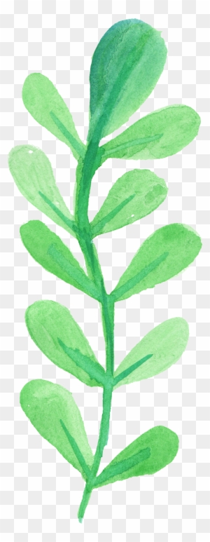 Leaves Clipart, Transparent PNG Clipart Images Free Download , Page 4 ...