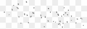 Flying Crows Group - Flock - Free Transparent PNG Clipart Images Download