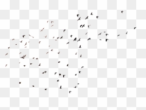 Flock Of Birds Clipart Flock Crows - Aninkfruit: Streets - Free ...