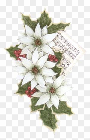 Christmas Clipart - Flannel Flower - Free Transparent PNG Clipart ...