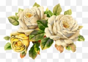 Mod Article1023861 16 - Yellow Rose Twitter Header - Free Transparent ...