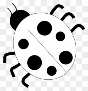 Ladybug Clipart Black And White, Transparent PNG Clipart Images Free ...