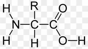 Nahco3 Lewis Structure