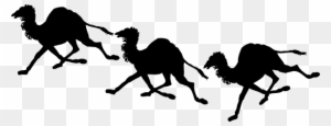 Running Camel Silhouette Mugs - Free Transparent PNG Clipart Images ...