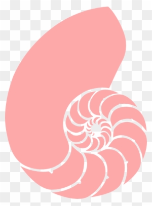 Nautilus Shell Kappa Delta - Free Transparent PNG Clipart Images Download