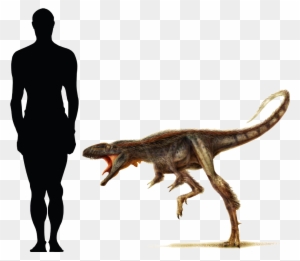 Prehistoric - Hyena Size Comparison To Dog - Free Transparent PNG ...