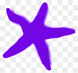 Starfish Clipart Cartoon Starfish Png Clipart Image - Starfish Clipart ...