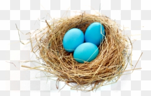 Nest, Transparent PNG Clipart Images Free Download - ClipartMax