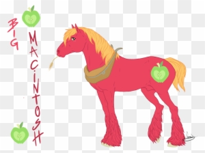 Realistic Big Macintosh By Vanycat - Mlp Realistic - Free Transparent ...