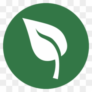 Coin, Transparent PNG Clipart Images Free Download - ClipartMax