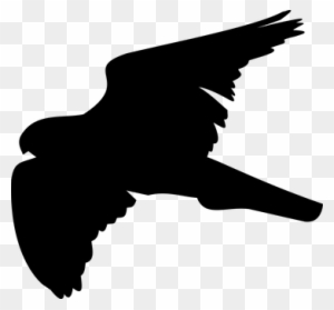 Bird, Hawk, Shadow, Silhouette - Vietnam War Supporters Hawks - Free ...