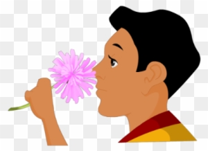 Nose Smelling Cartoon