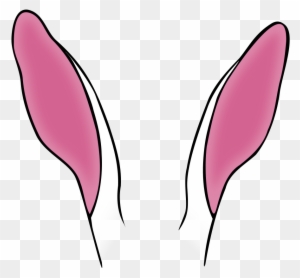 #bunny #rabbit #ears #features #face #head #pink #white - Easter Bunny ...