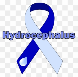Hydrocephalus Awareness Symbol