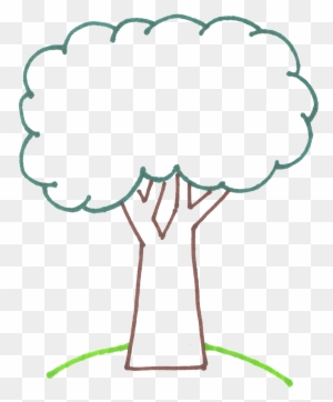 What Is Trigonometry - Height Of A Tree Trigonometry - Free Transparent ...