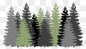 Forest Trees Evergreen Â - Clipart Forest - Free Transparent PNG ...
