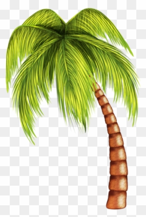 Tropical Clipart Summer Tree - Coconut Tree Tree Png - Free Transparent ...