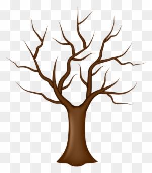 Brown Tree Without Leaves Drawing