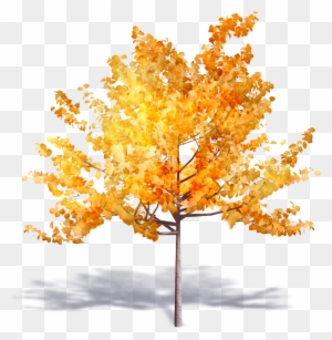 2d Trees, Autumn - Free Png Tree Autumn - Free Transparent PNG Clipart ...