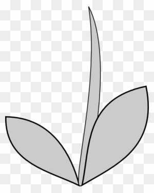 Flower Stem Outline Template | Best Flower Site