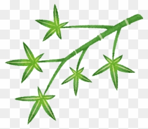 Bamboo Grass - Sasa - Free Transparent PNG Clipart Images Download