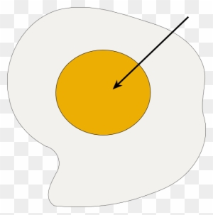 Yolk Clip Art - Hard Boiled Egg Clipart - Free Transparent PNG Clipart Images Download