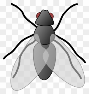 Free Clipart Flies, Transparent PNG Clipart Images Free Download ...