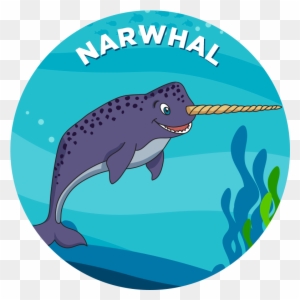 Narwhal - Killer Whale - Free Transparent PNG Clipart Images Download