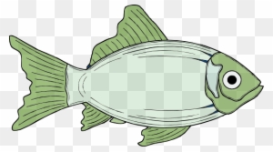 Cod - Clipart Image Of Cod - Free Transparent PNG Clipart Images Download