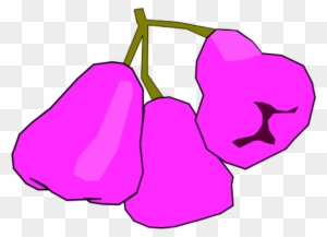 Jambu Monyet Vector Clip Art - Jambu Clipart - Free Transparent PNG ...