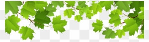 Maple Leaf Clipart Spring Leaves - Spring Leaves Png - Free Transparent ...