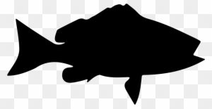 Fish Shape Of Blackfin Snapper Comments - Fish Silhouette No Background ...