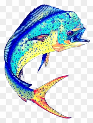 Mahi Mahi Logos - Free Transparent PNG Clipart Images Download