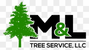 M & L Tree Services - Tree Silhouette Clip Art - Free Transparent PNG ...