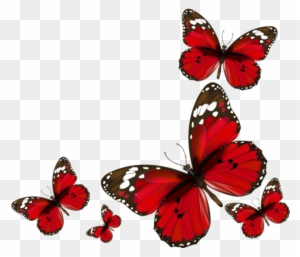 Papillons Red Butterflies Png - Red Butterflies Png - Free Transparent ...