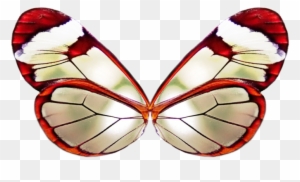 Red Wings Clipart, Transparent PNG Clipart Images Free Download ...