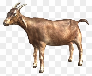 Goat Animated Gif Transparent - Free Transparent PNG Clipart Images ...