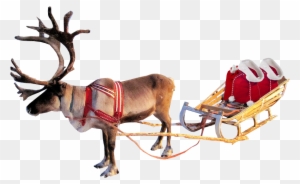 15 Christmas Clipart No Background - Reindeer Transparent Background ...
