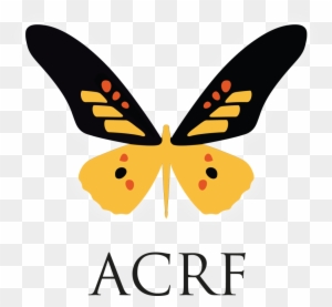 Afig Funds - Free Transparent PNG Clipart Images Download