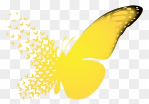 The Butterfly Effect - Brush-footed Butterfly - Free Transparent PNG ...