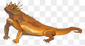 Image - Horned Lizard Png - Free Transparent PNG Clipart Images Download