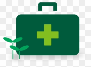 Country Financial Has Supplemental Coverage - Icon Health And Life ...