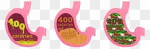 Great Way To Visualize Calorie Density - Can Your Stomach Shrink - Free ...