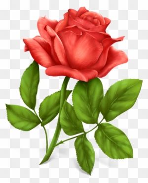 Download File - Rose Overlay Png - Free Transparent PNG Clipart Images ...