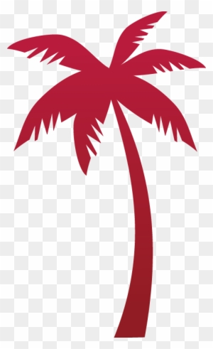 Coconut Tree Vector Png