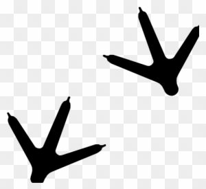 Turkey Tracks - Turkey Tracks Png - Free Transparent PNG Clipart Images ...