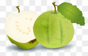 Guava Clipart, Transparent PNG Clipart Images Free Download - ClipartMax