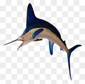 Bluefish2 - Striped Marlin - Free Transparent PNG Clipart Images Download