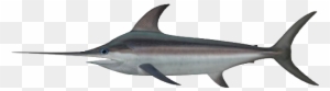 Swordfish - Free Transparent PNG Clipart Images Download