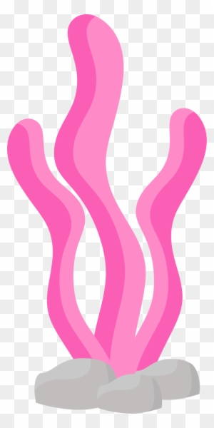 Seaweed - Pink Seaweed Clipart - Free Transparent PNG Clipart Images ...